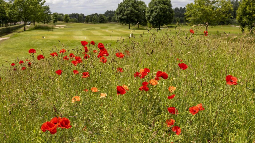 Baanstatus - Old Course Loenen